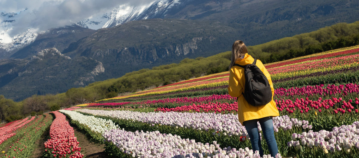 Inicio - Chubut Patagonia Argentina